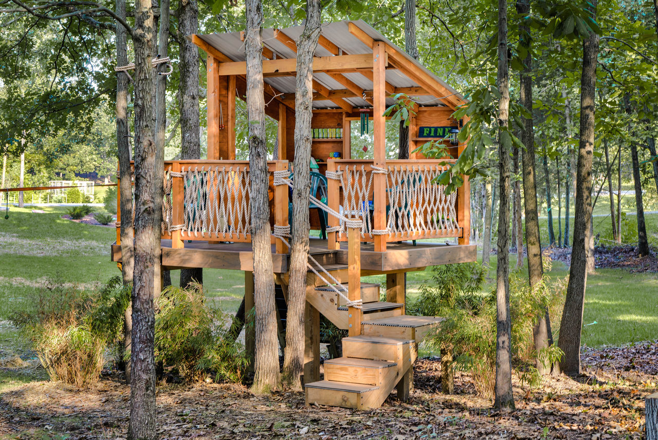 Utforsk det ultimate Tree House med Trex | Trex